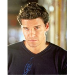 David BOREANAZ Autograph