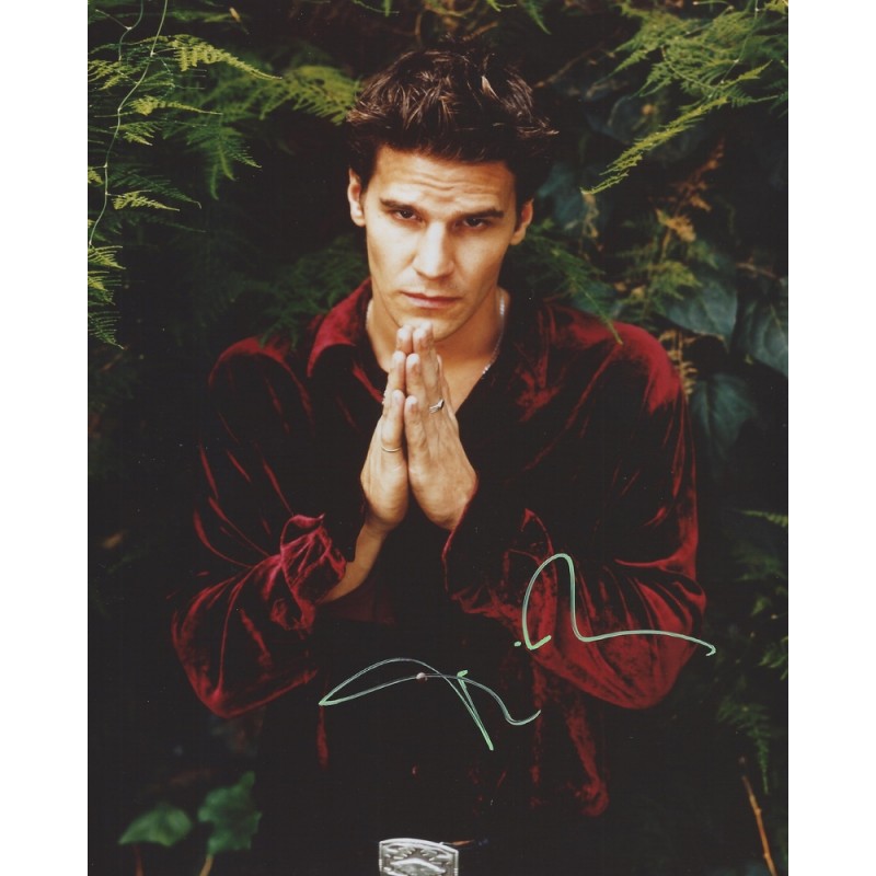 David BOREANAZ Autograph